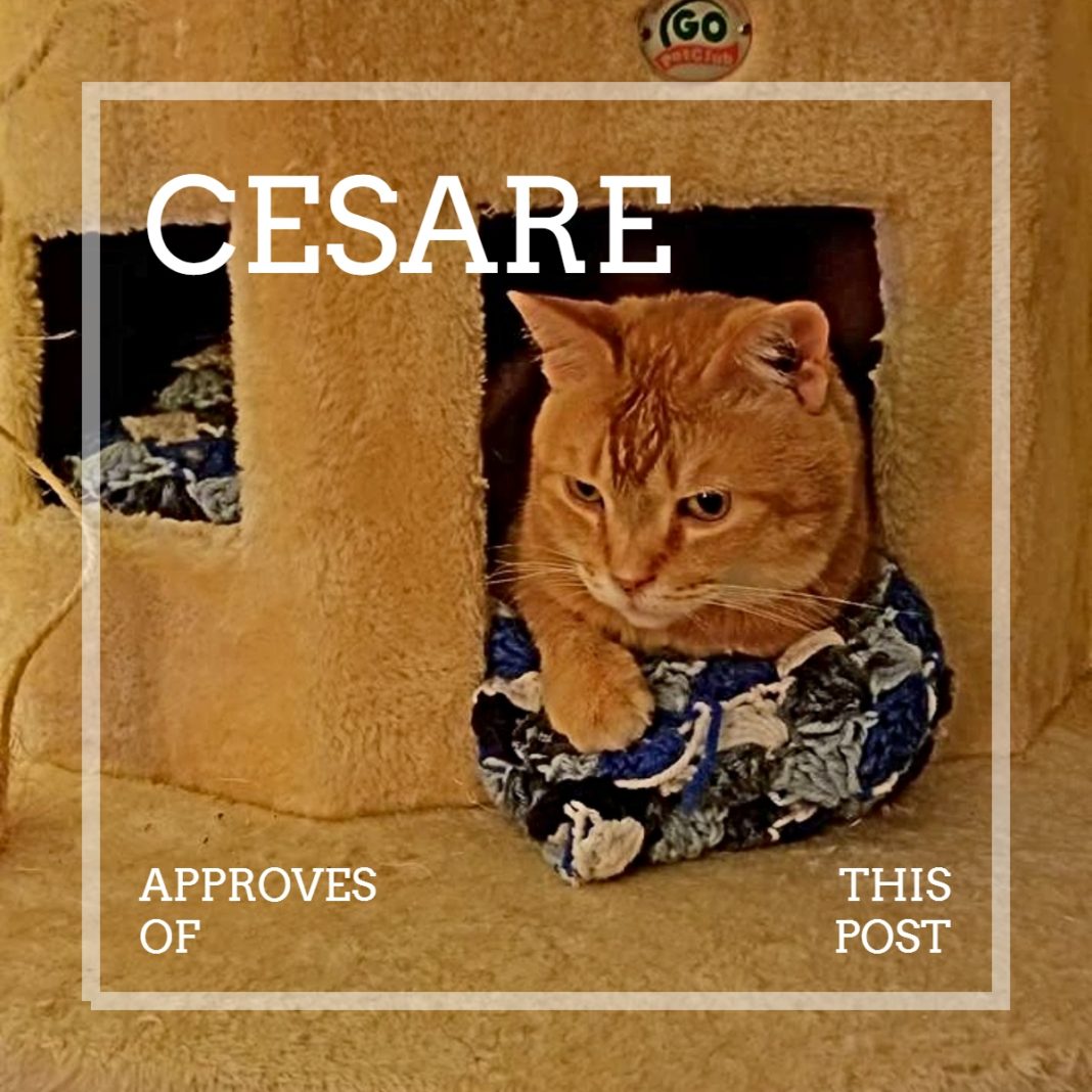 Chapter 7.15: Dear Diary, Life is Complicated - Story Spinner