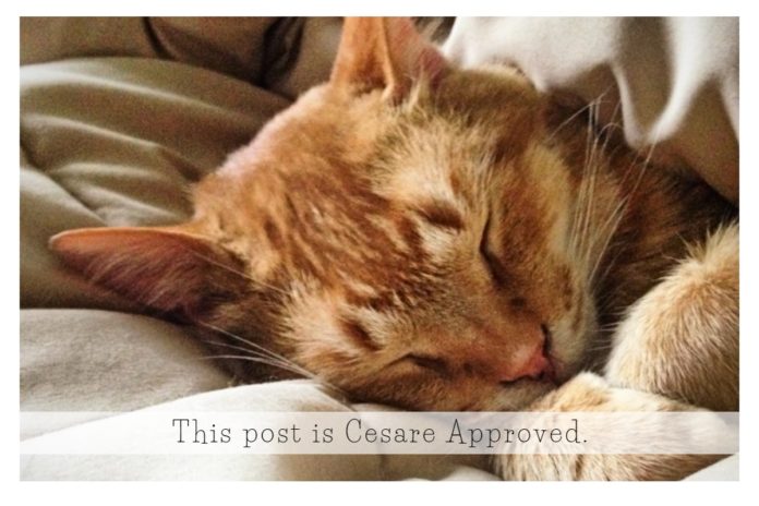 Chapter 7.14: Dear Diary, the Day of Birthdays – booomcha.com