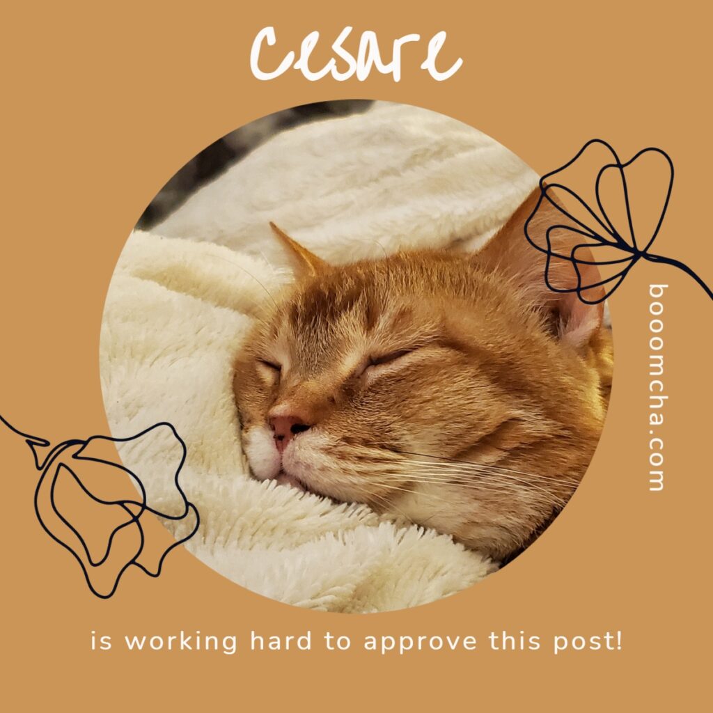 Chapter 8.13: Dear Diary, Dad Duty - Kymber Writes