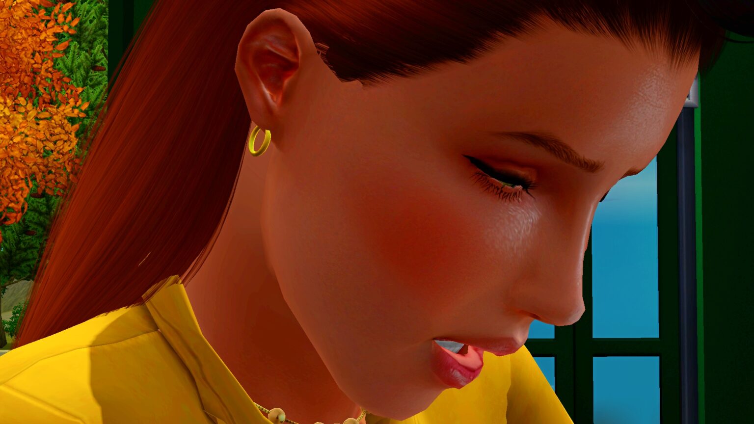 Chapter 9.13: Dear Diary, Birthdays Aren’t Always Happy – booomcha.com