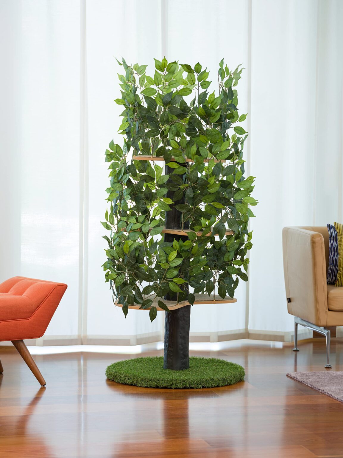 Cesare’s Favorite Products for Cats – booomcha.com