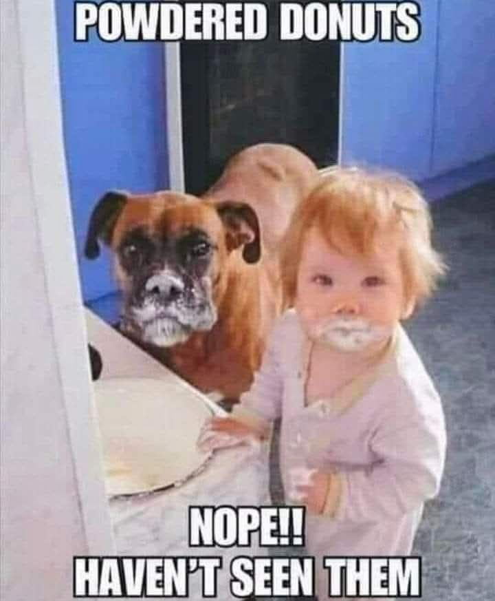 Hey, EveryBuddy #15! – booomcha.com