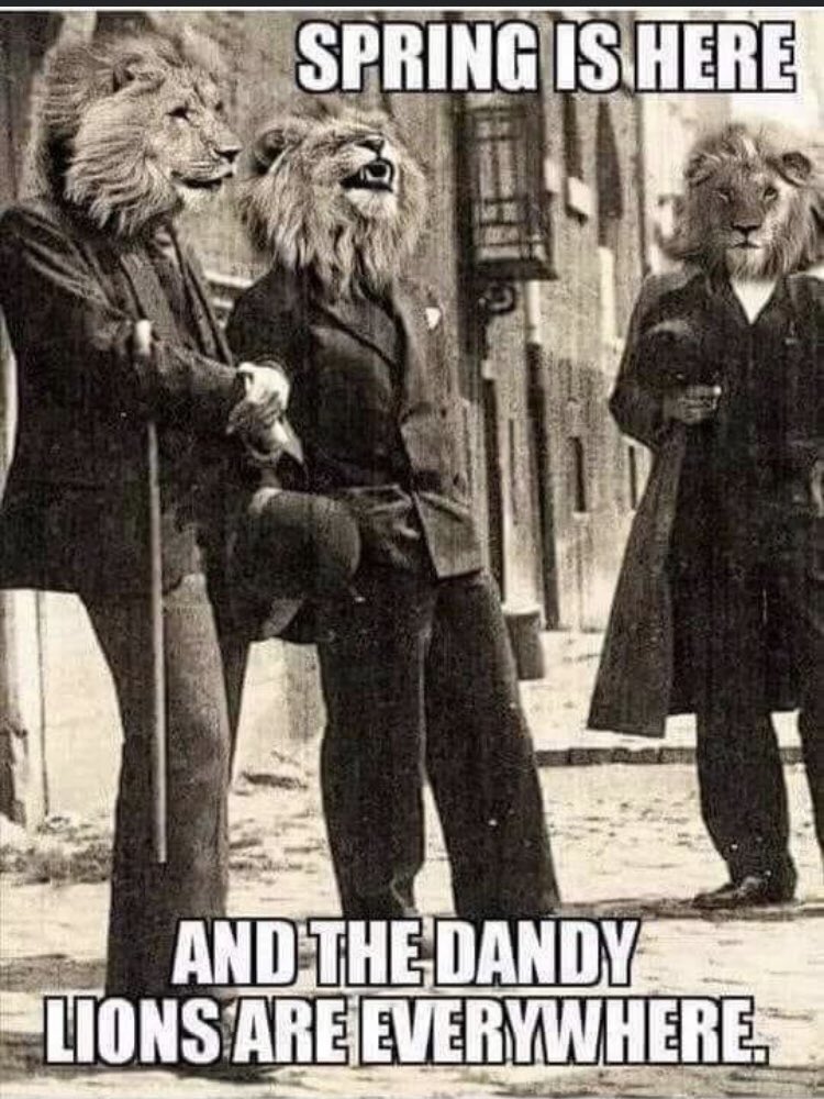 Spring is Here (Aww Mondays) – booomcha.com